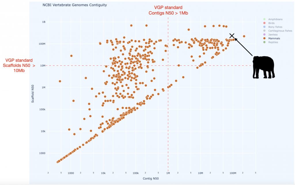 Contiguity PCA of the Asian Elephant (Elephas maximus) Genome Data ...