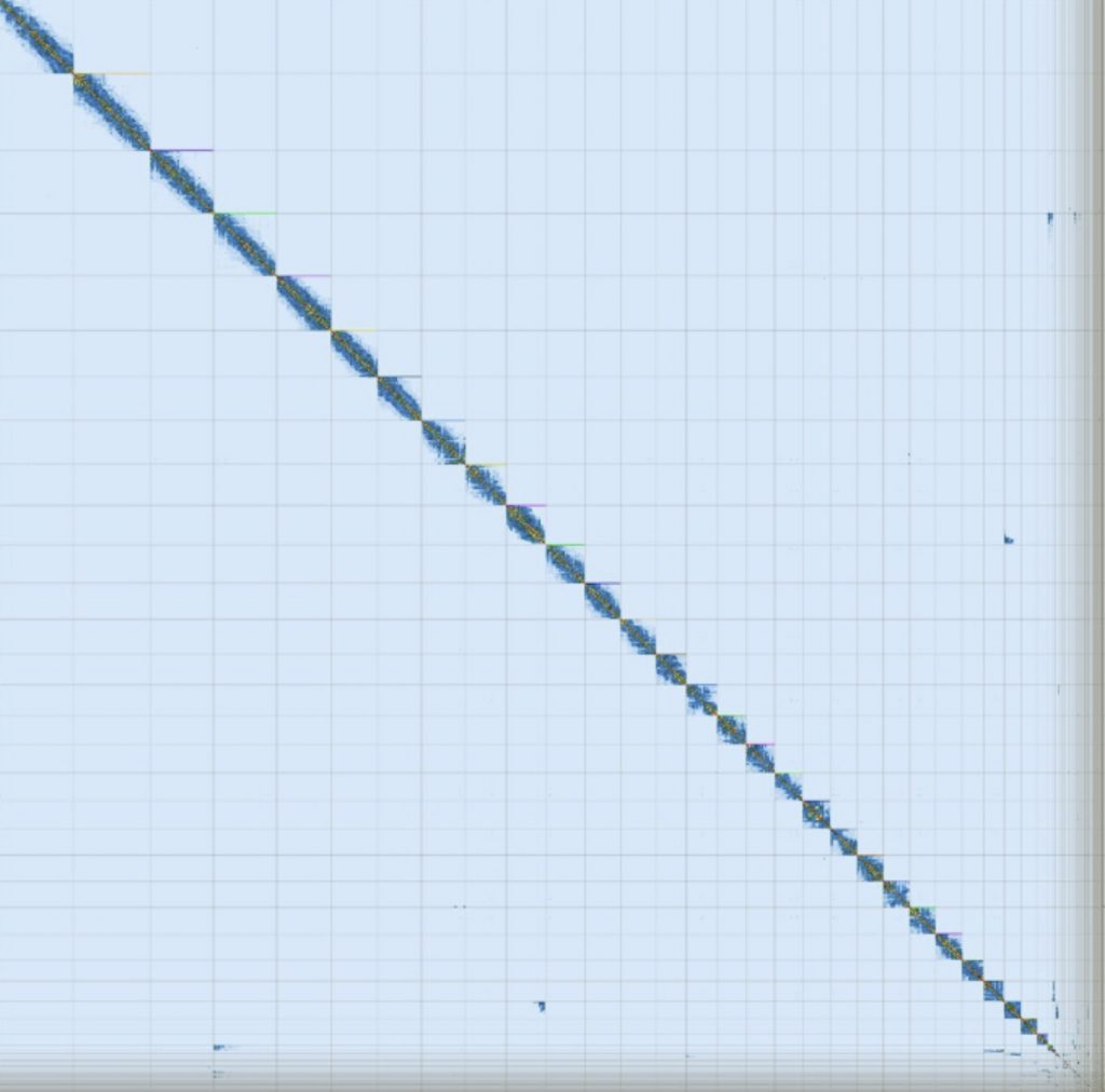Arima Hi-C Assembly of the Asian Elephant (Elephas maximus) Genome Data ...