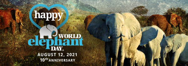World Elephant Day